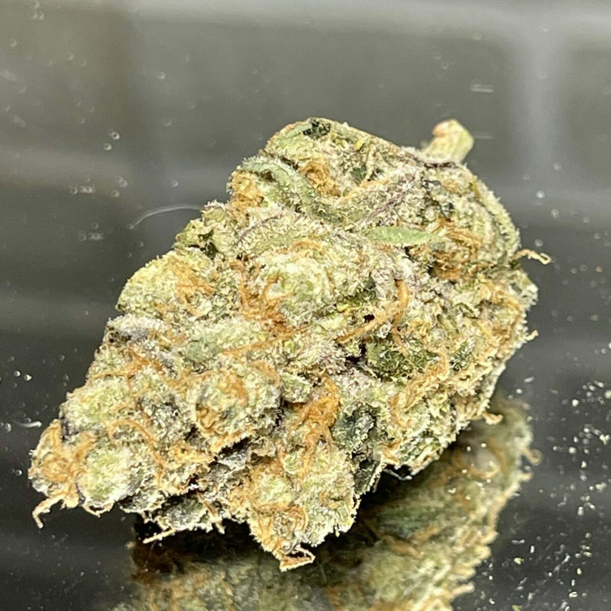 Flowers / Indica / Sativa / Hybrid - Weed Delivery Kitchener